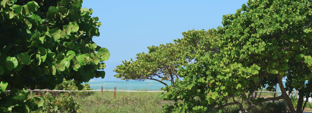 Metal Roofing Permit in Surfside, Florida: A Step-by-Step Guide - Bob ...